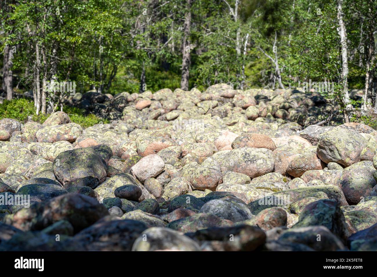 Glacier Rock field covering the terrain and path Skuleskogen Park Stock ...