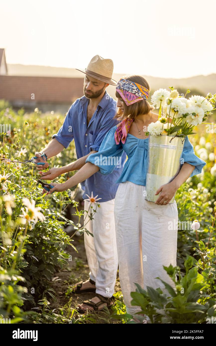 Man and woman pick up flowers at farm outdoors Stock Photo - Alamy
