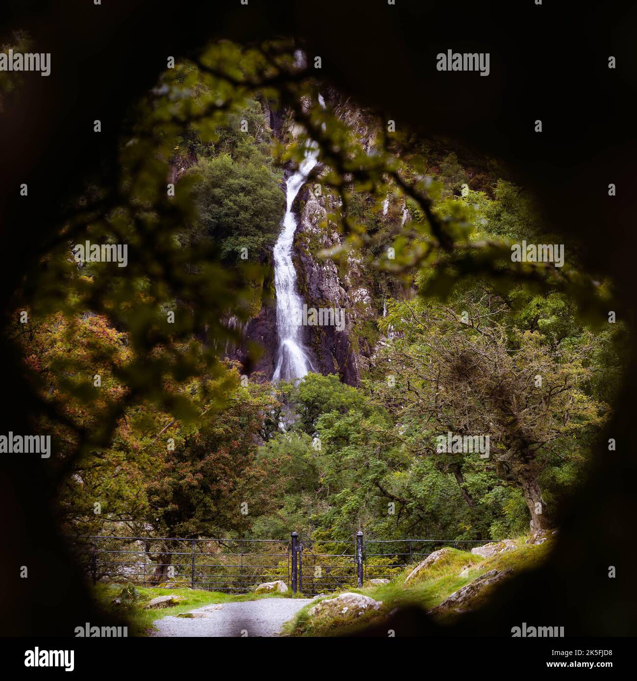Aber falls waterfall in the northern foothills of the Carneddau. Afon ...