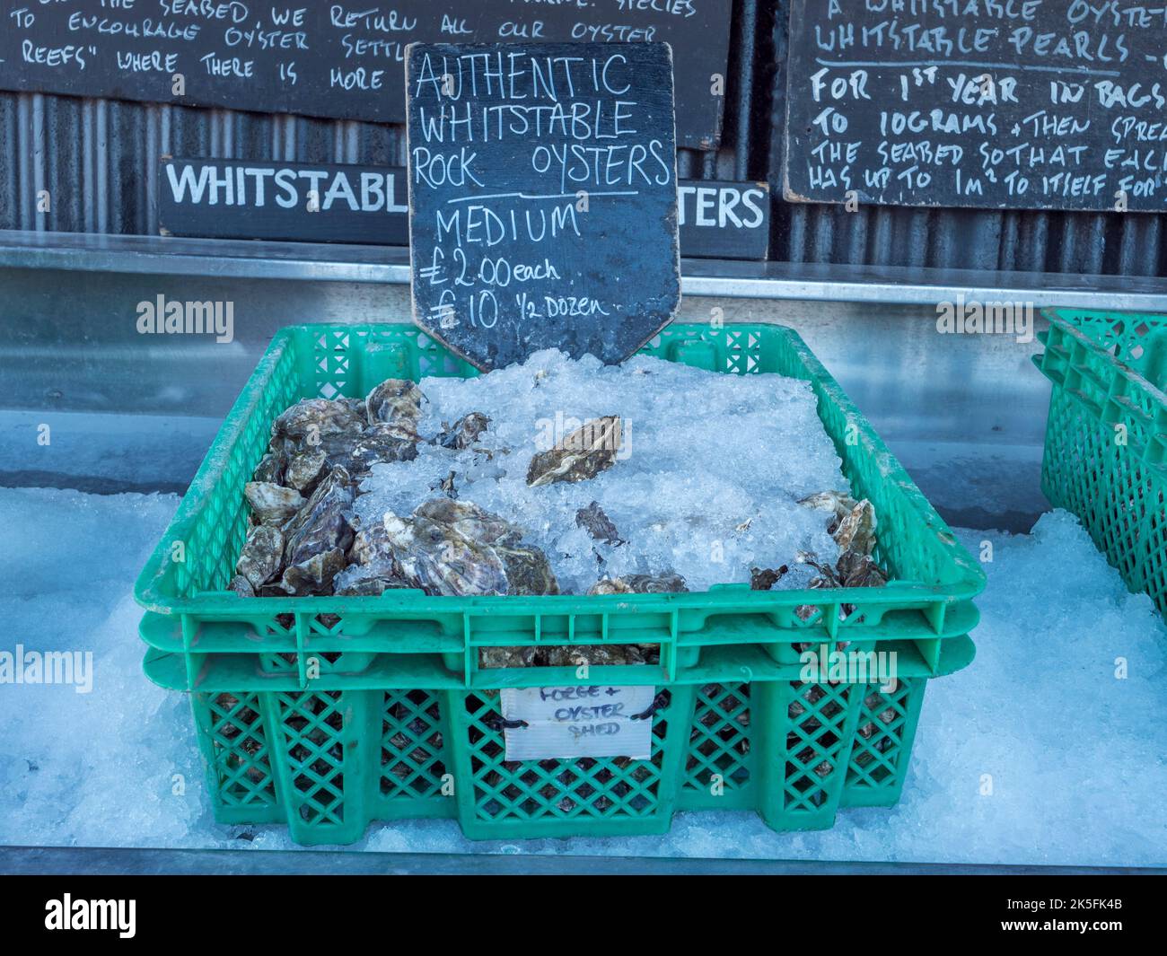 Authentic Whitstable rock oysters on sale in a fishmongers in ...
