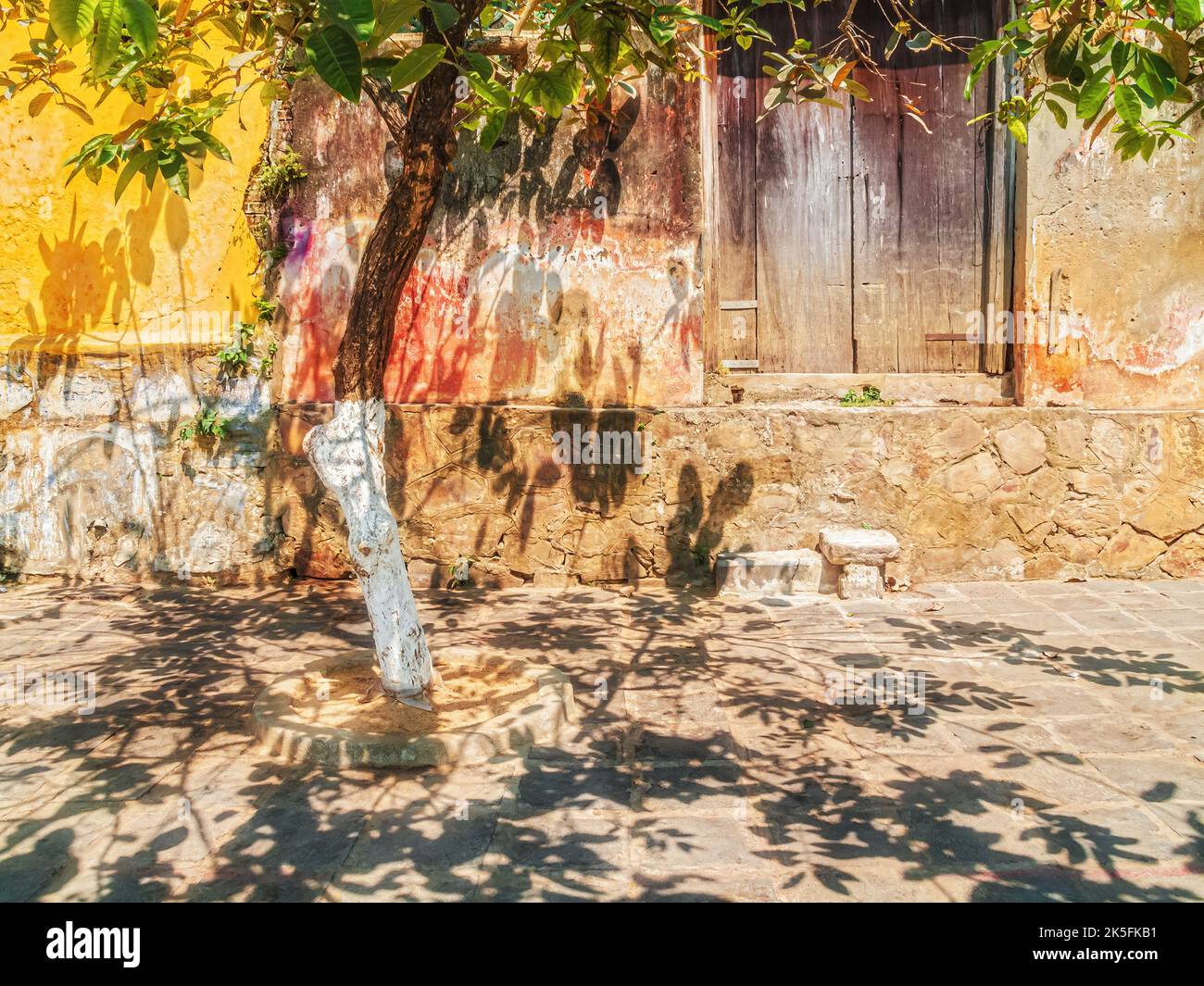 Shadow of tree on cobblestone sidewalk at Hoi An, Vietnam Stock Photo ...
