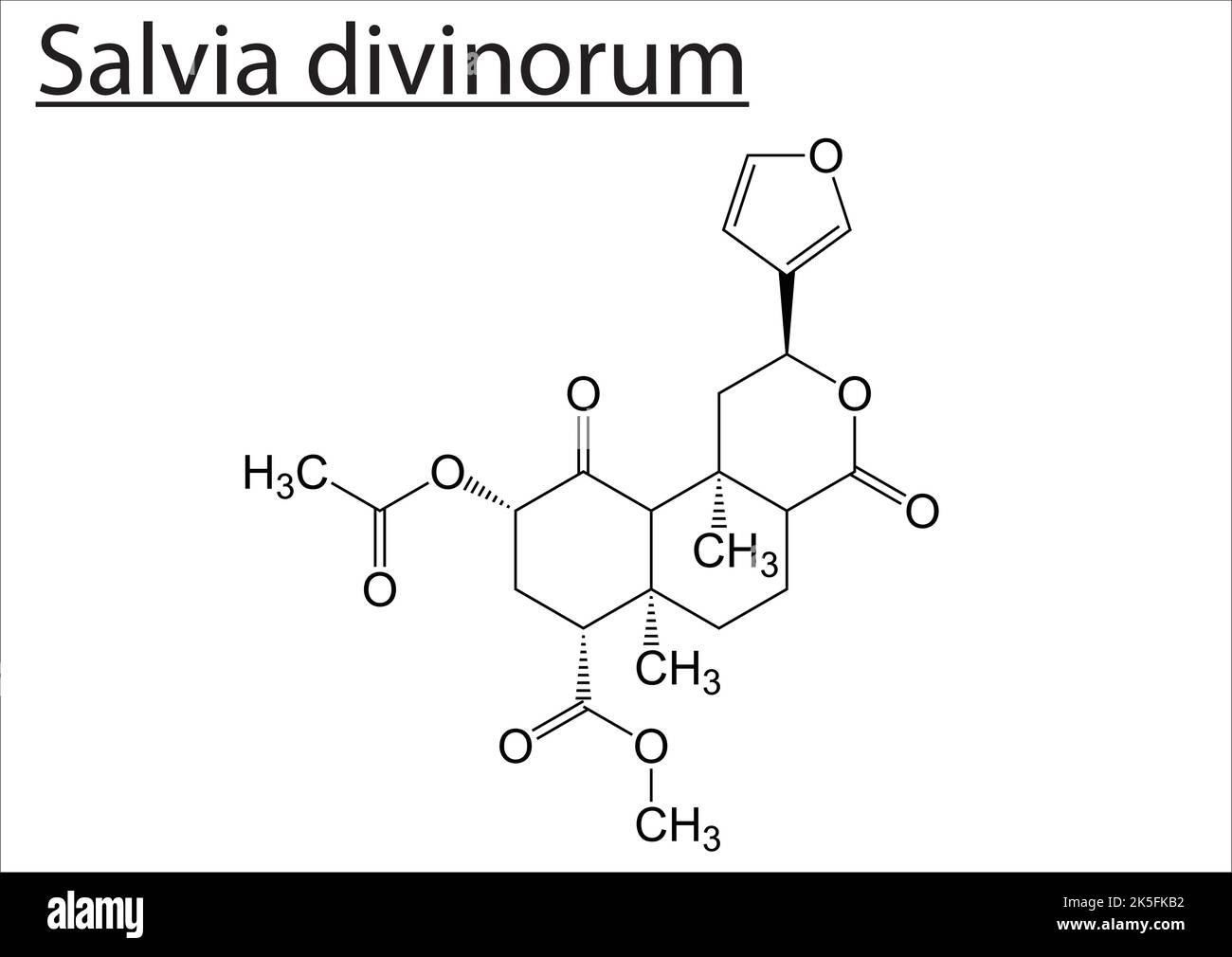 Salvia Divinorum Molecular structure vector skeletal formula Stock ...