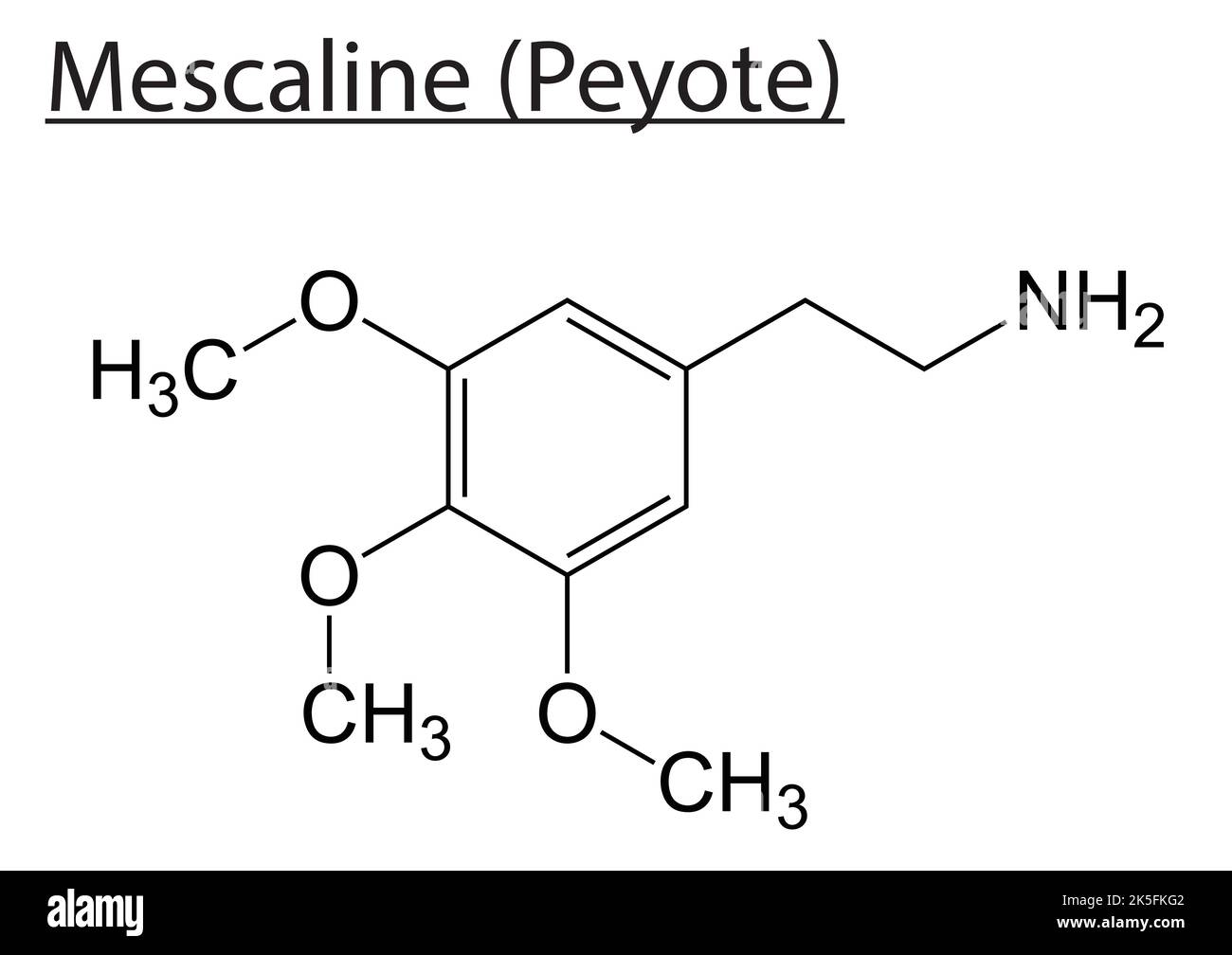 Mescaline Peyote Molecular structure vector skeletal formula Stock ...