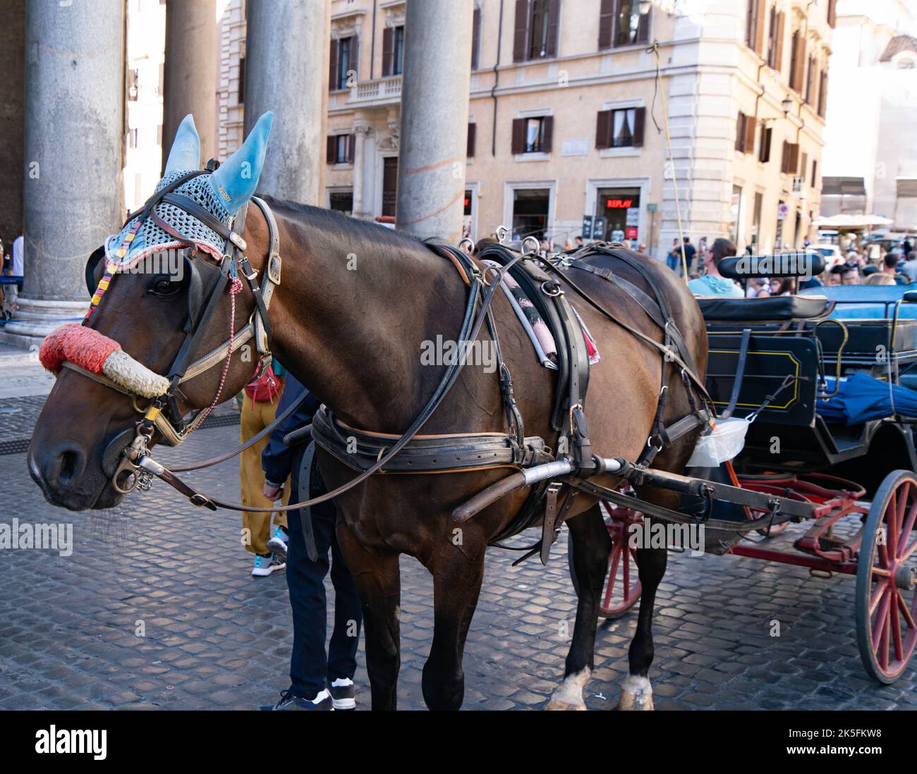 Roman horse carriage hi-res stock photography and images - Alamy