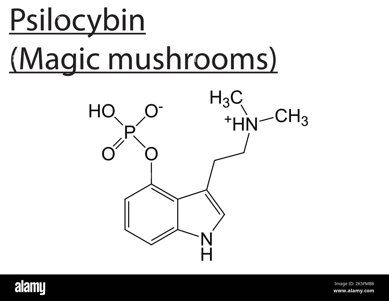Mushrooms Psilocybin Molecular structure vector skeletal formula Stock ...
