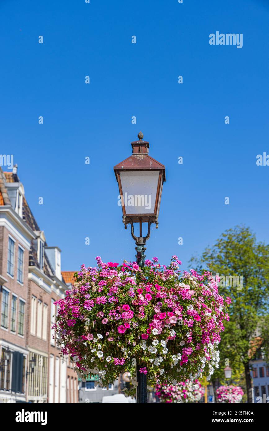 Flower basket with colorful pink and violet surfinia and geranium ...