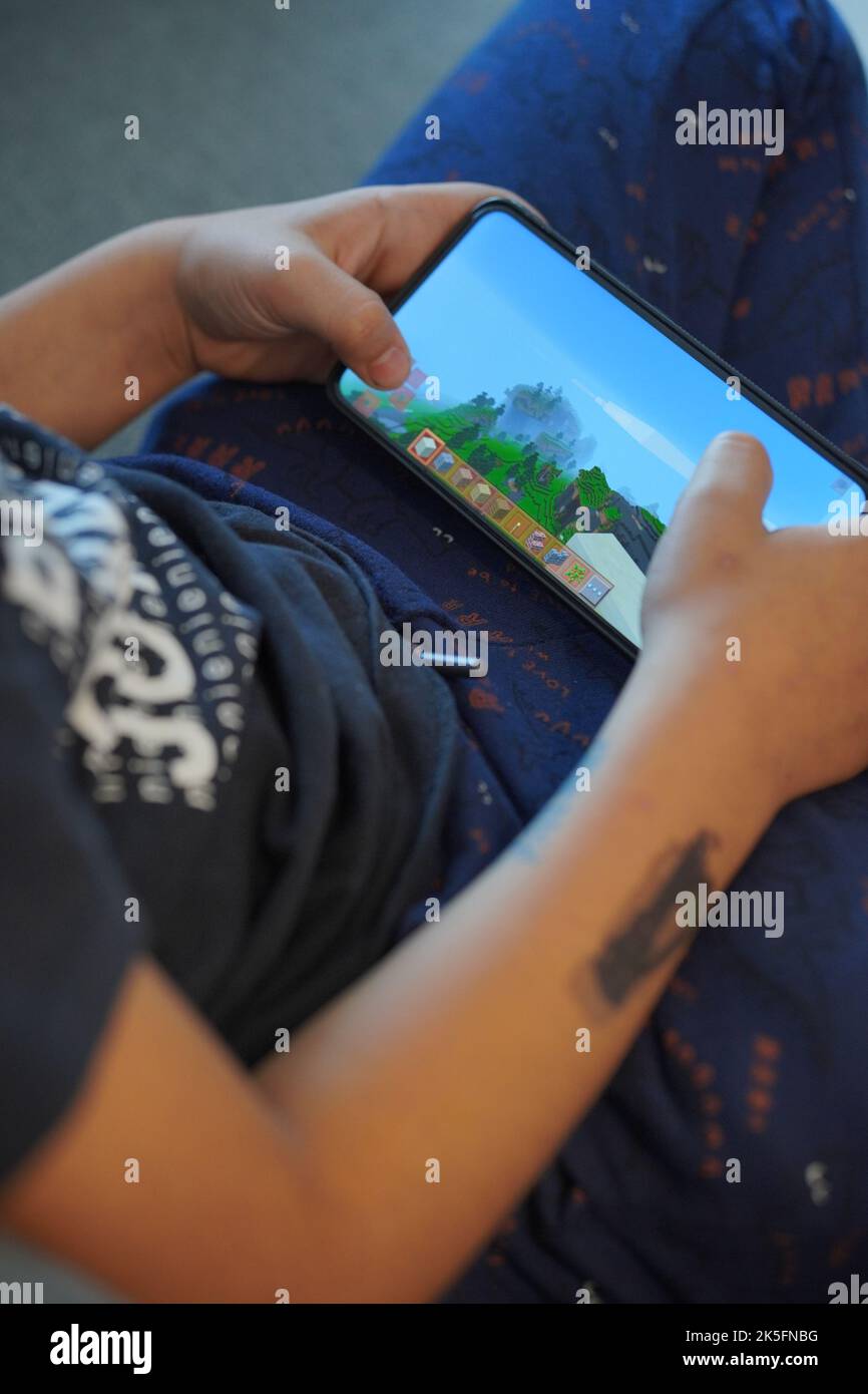 Playing minecraft video game hi-res stock photography and images - Alamy