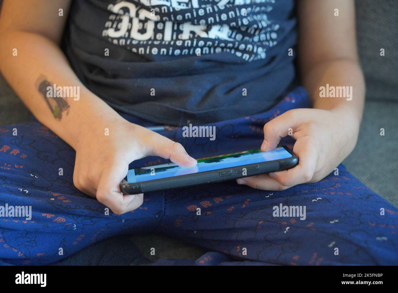 Playing minecraft video game hi-res stock photography and images - Alamy