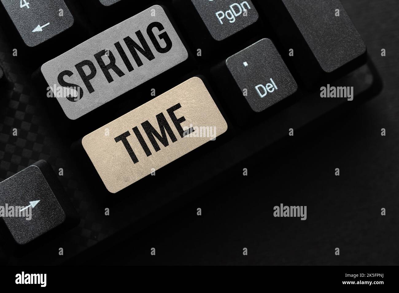 Inspiration showing sign Spring Time. Business concept temperate season ...
