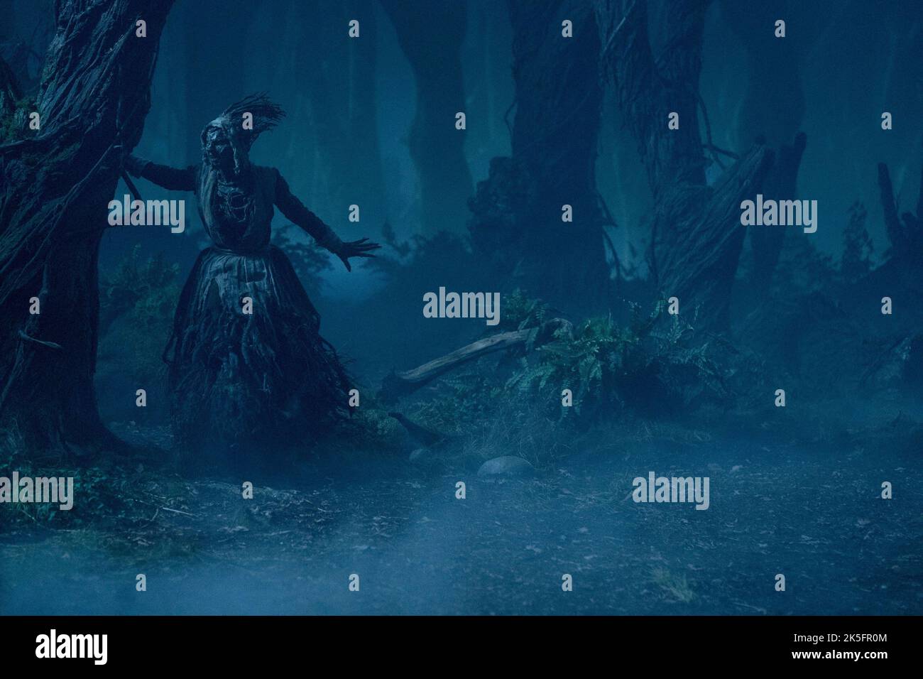 Cabinet of curiosities netflix hi-res stock photography and images - Alamy