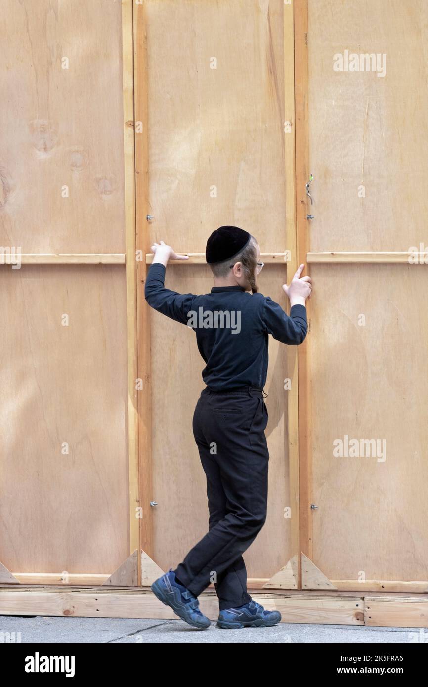 In preparation for the Sukkos holiday, an orthodox Jewish boy helps his ...