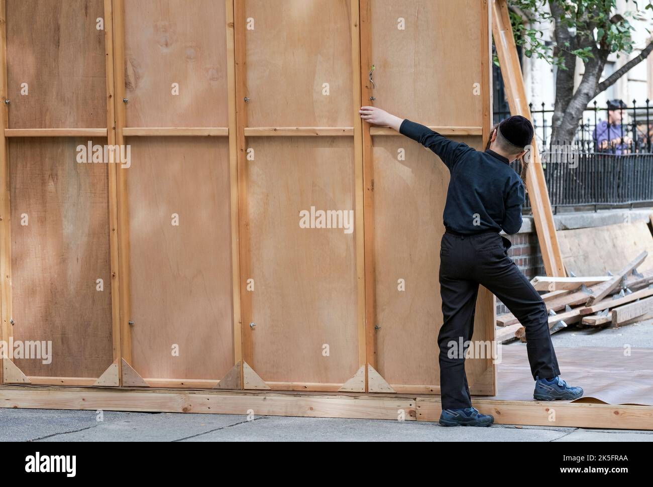 In preparation for the Sukkos holiday, an orthodox Jewish boy helps his ...