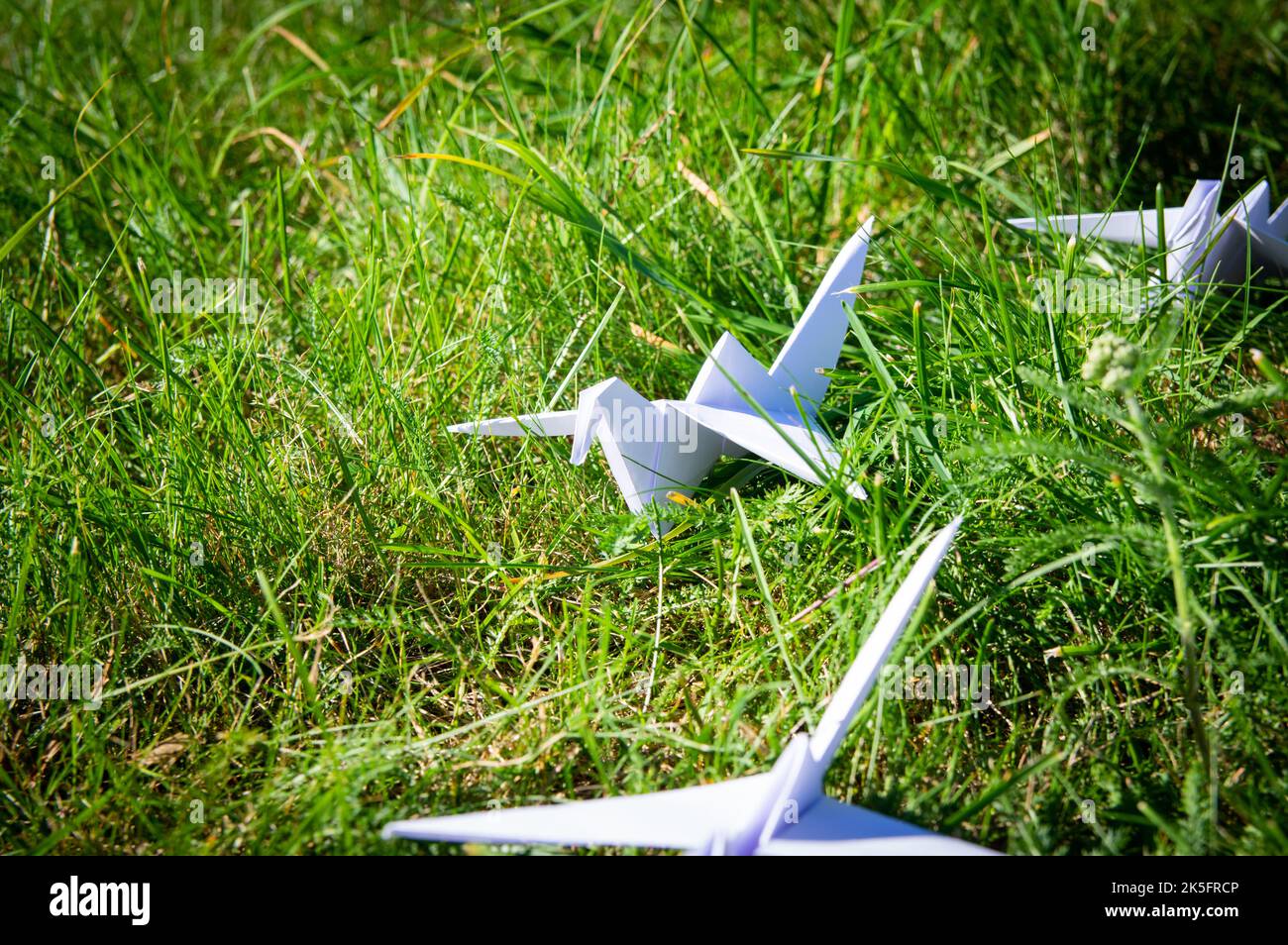 Japanese folded Origami cranes on fresh grass. Hundreds handmade paper ...