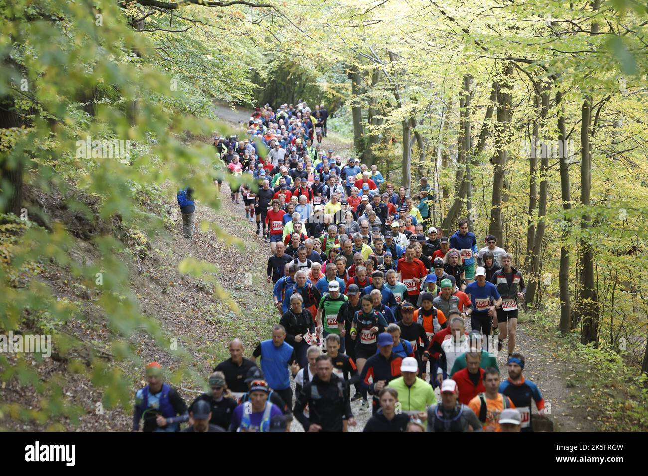 Male and female runners running in forest hi-res stock photography and ...