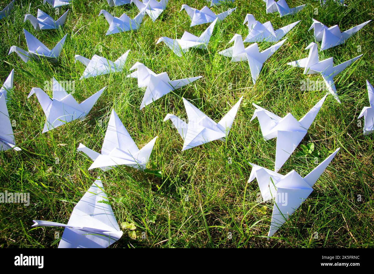 Japanese folded Origami cranes on fresh grass. Hundreds handmade paper ...