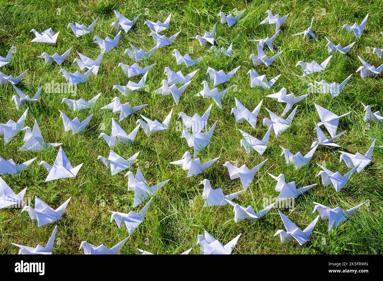 Japanese folded Origami cranes on fresh grass. Hundreds handmade paper ...