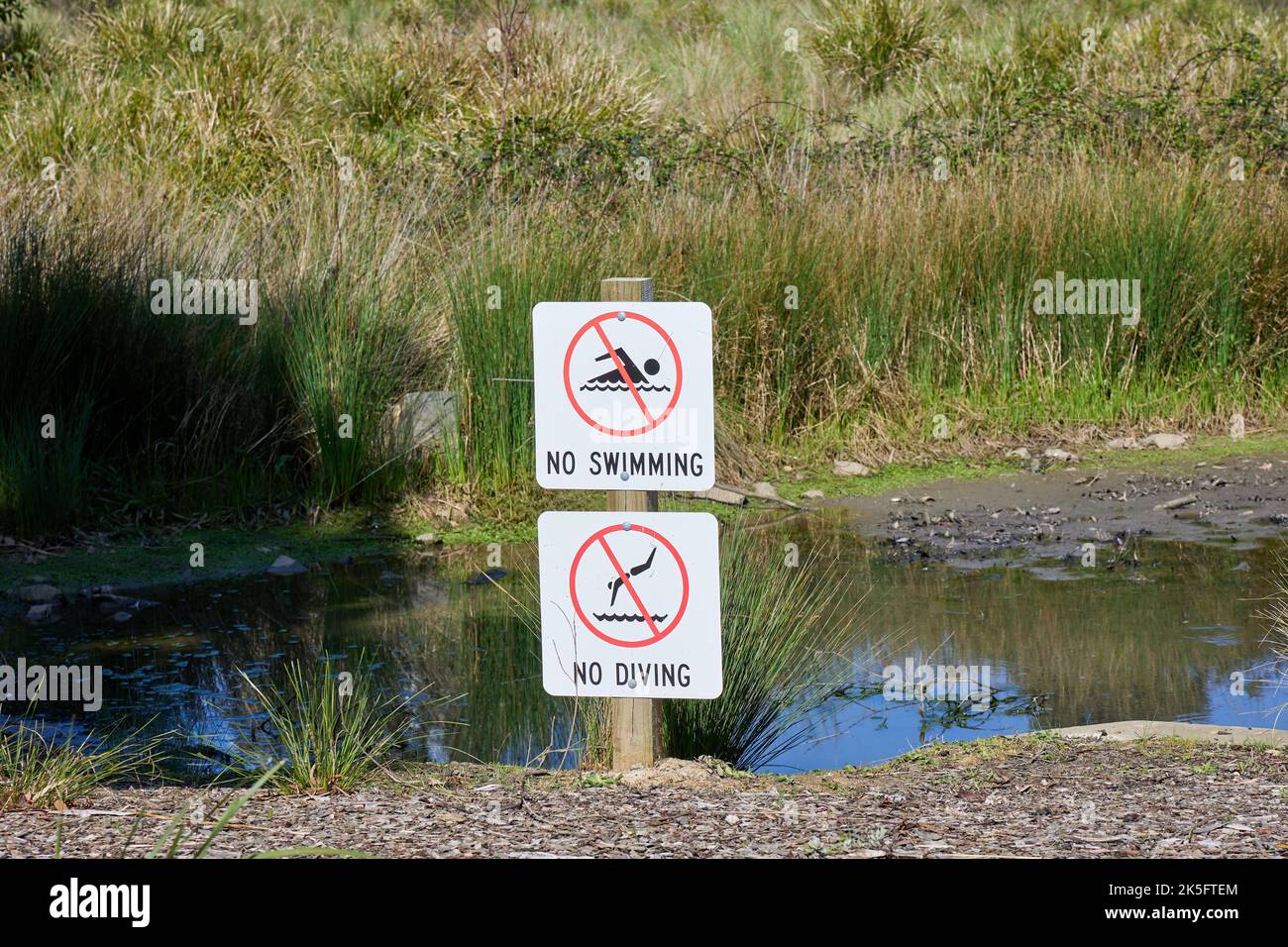 A small pond with signs ''No swimming'' and "No diving'' on the shore ...