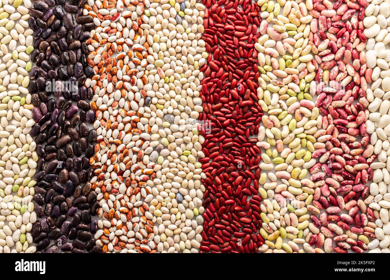 Background from different types of beans in rows, economically ...