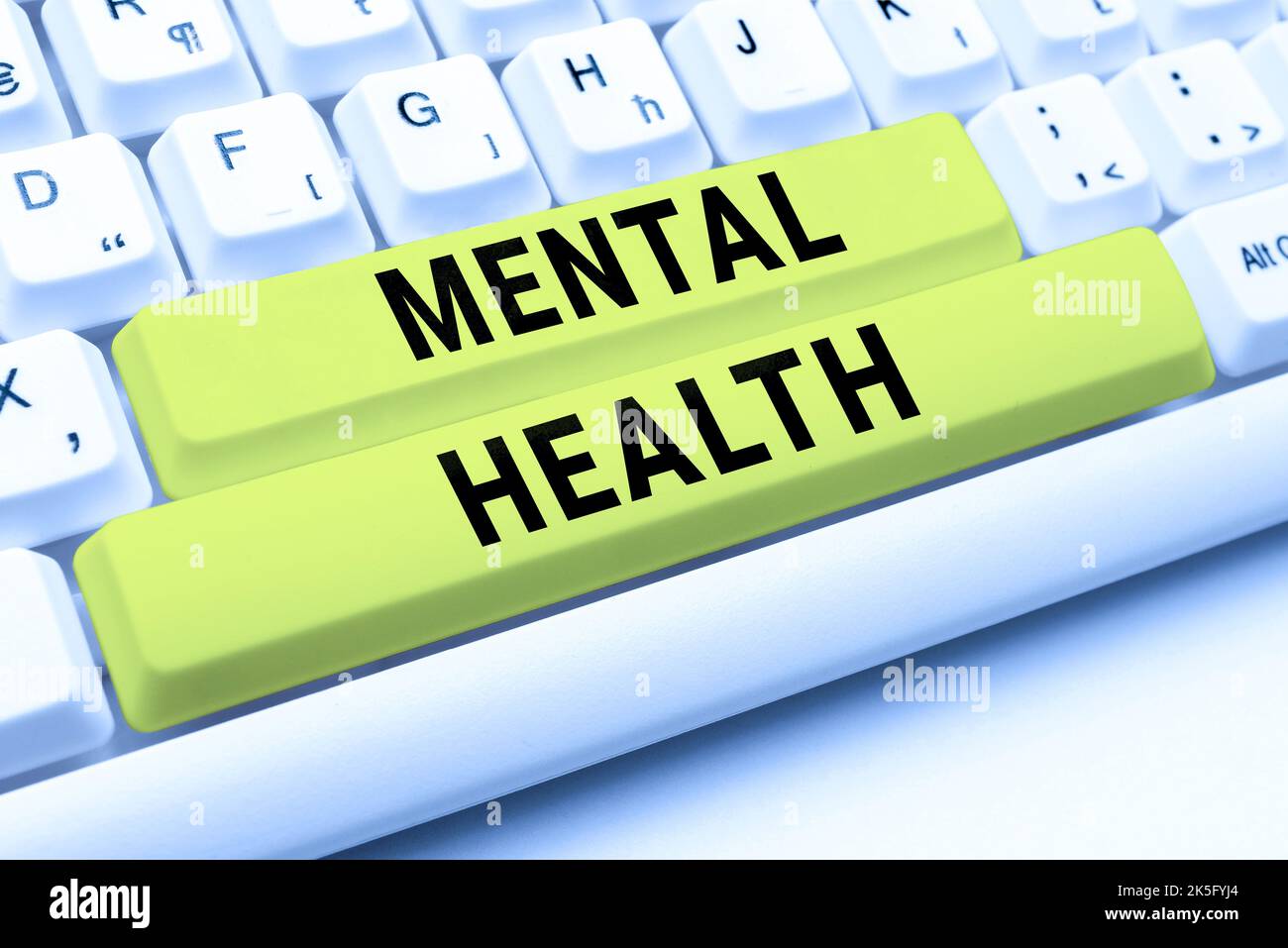 Text sign showing Mental Health. Business overview state of the ...