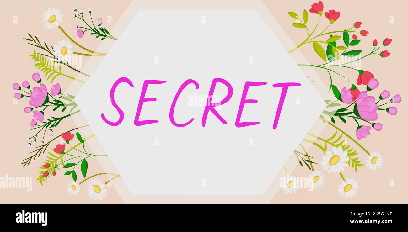 Writing displaying text Secret. Business concept practice of hiding ...