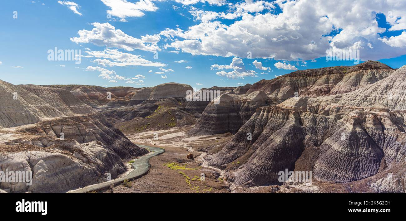 Panoramic view of the Blue Mesa Trail in Petrified Forest National Park ...