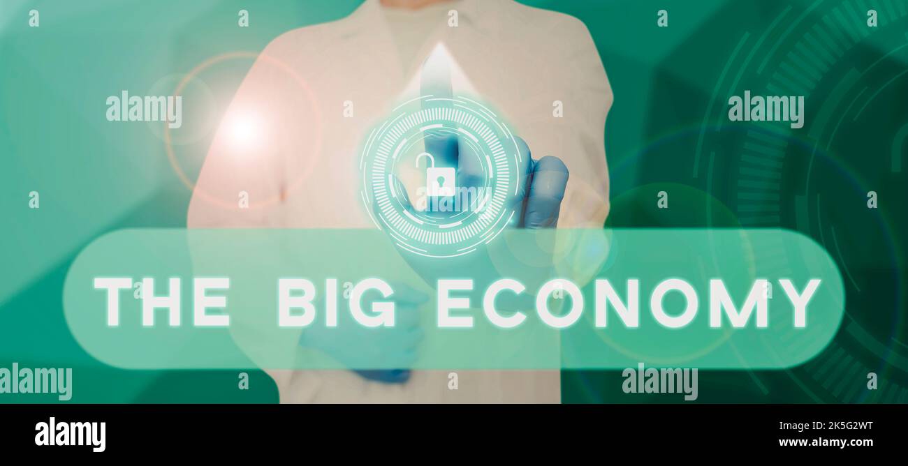 Text sign showing The Big Economy. Internet Concept Global finances ...