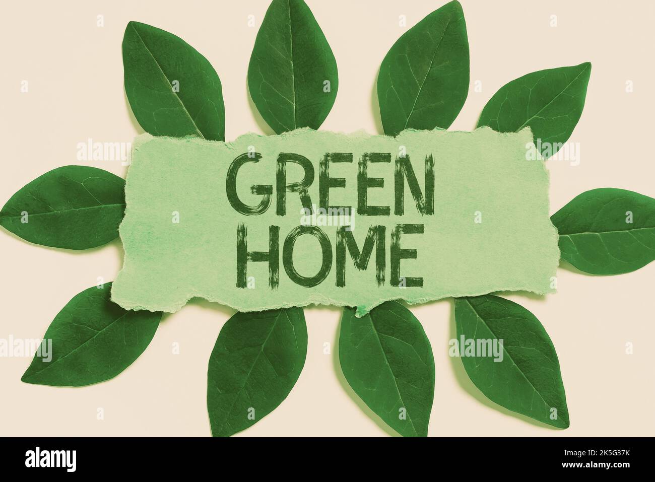 Conceptual caption Green Home. Word Written on An area filled with ...