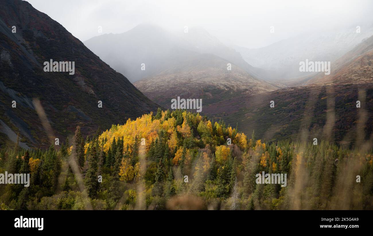 A scenic shot of the landscape of Denali State Park during fall season ...