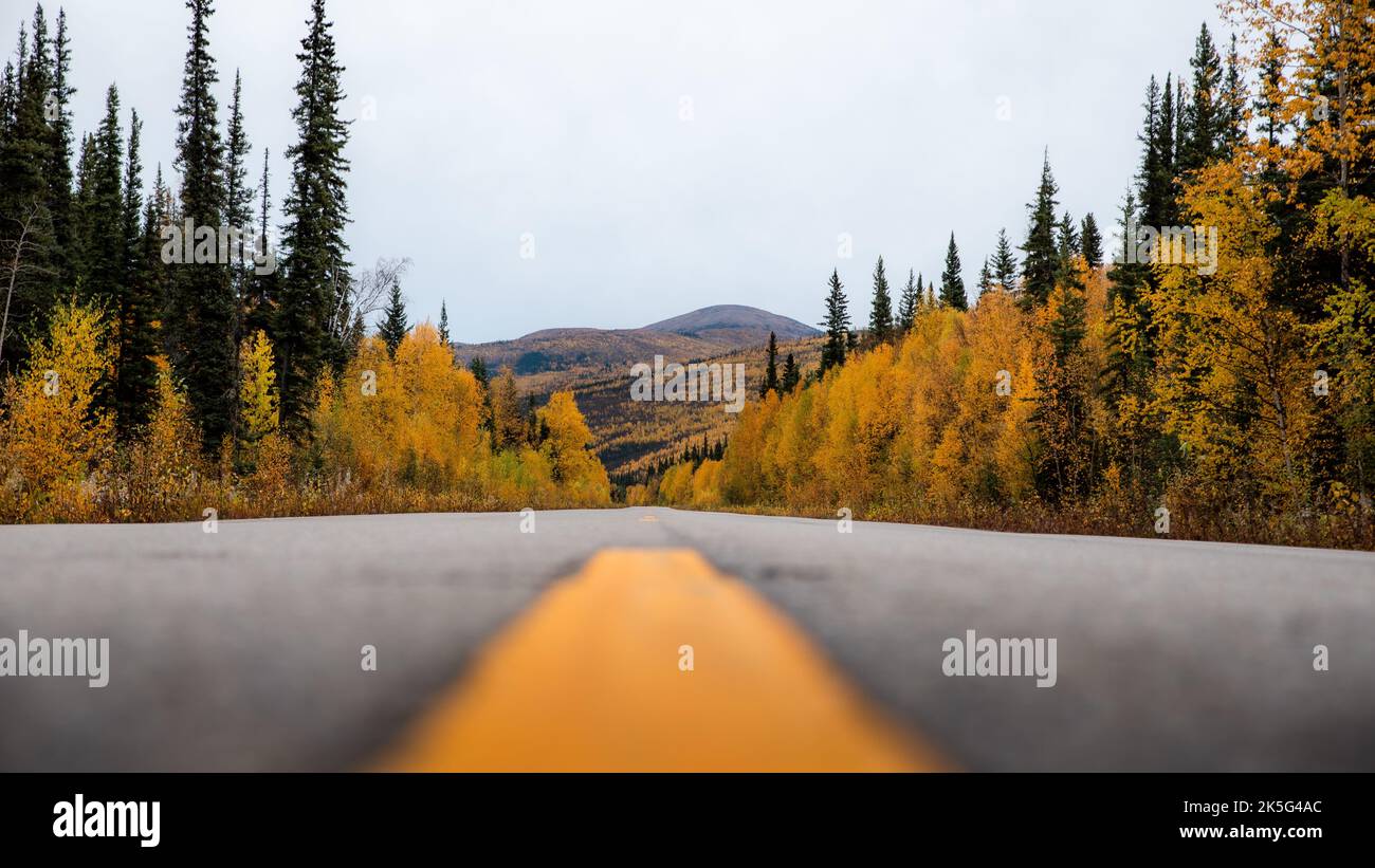 A low-angle shot of an empty road lined with green and yellow autumn ...