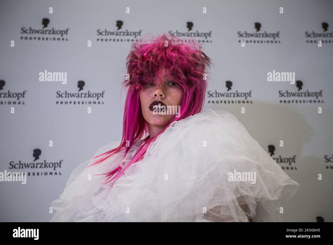 Hair show stafe hi-res stock photography and images - Alamy