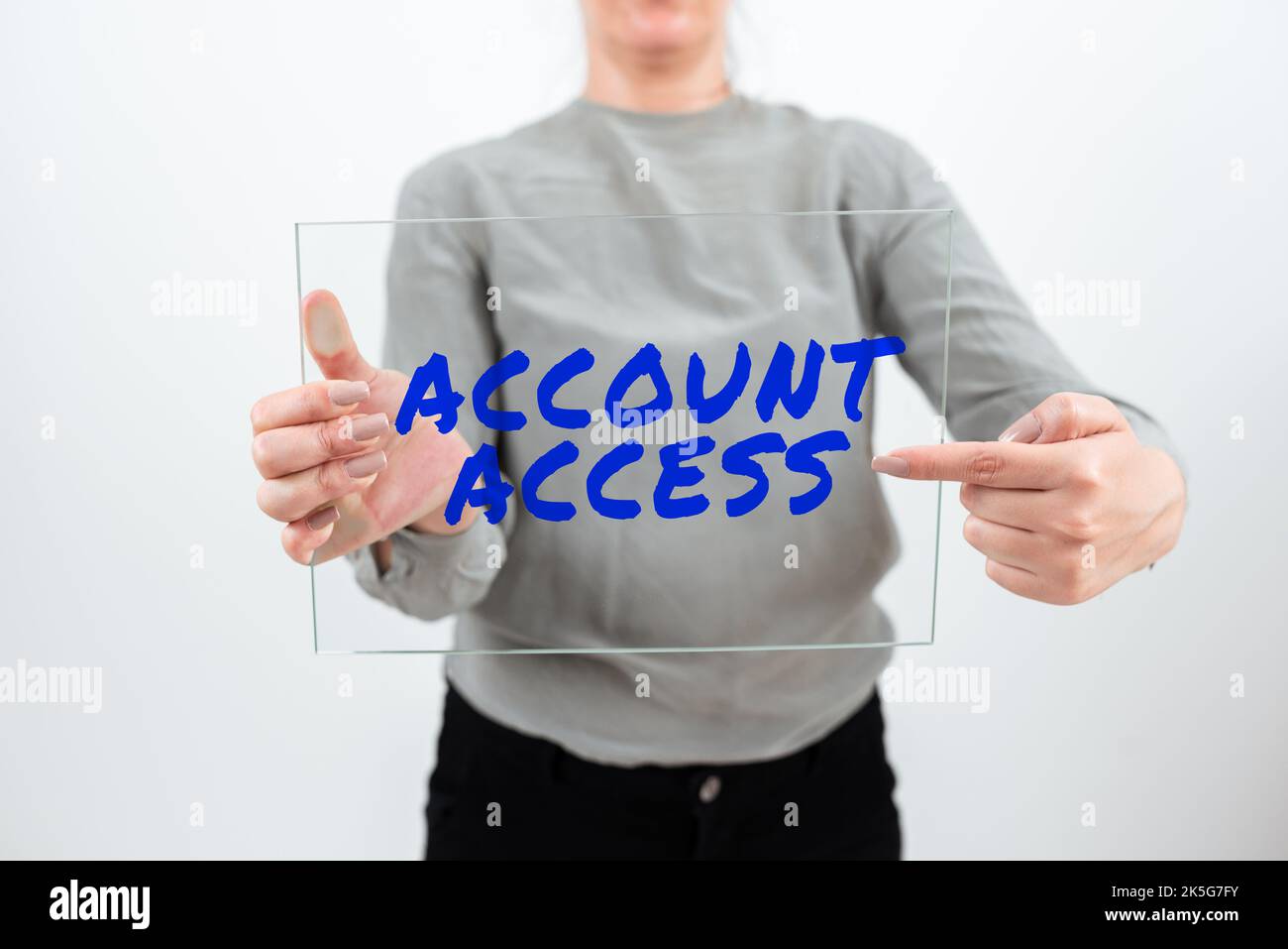 Conceptual display Account Access. Business overview full privilege for ...