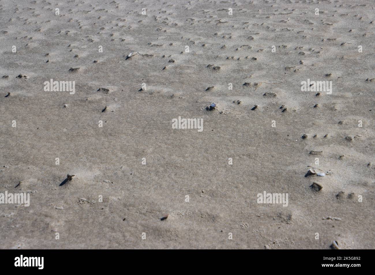 Wet abstract sand pattern for background Stock Photo - Alamy