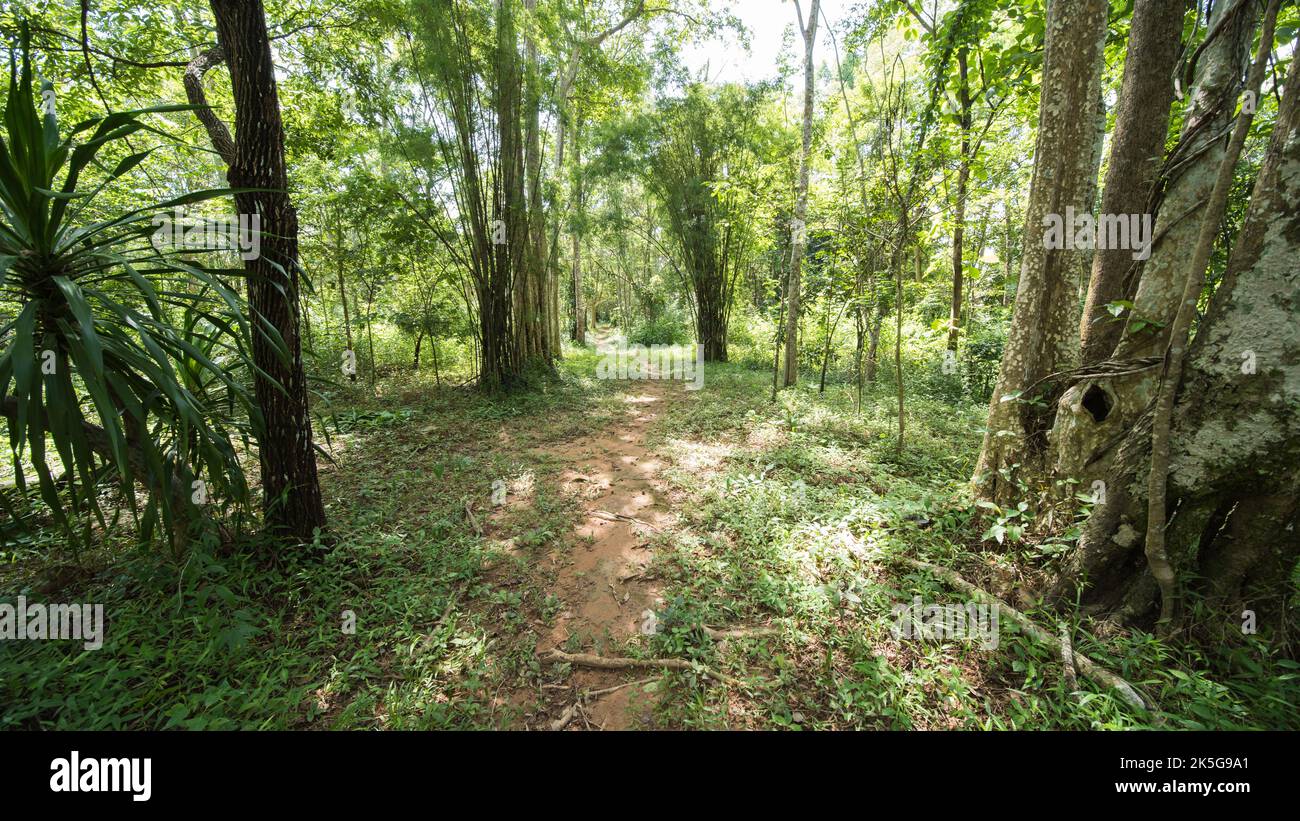 Wat Phrathat Phu Phek, the temple is near Sakon Nakhon in northeast ...