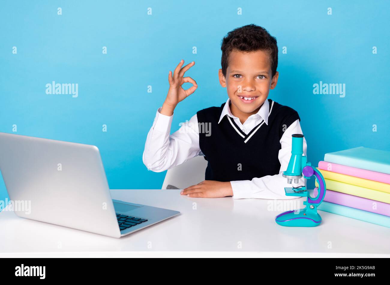 Portrait of cheerful smart schoolboy demonstrate okey symbol isolated ...