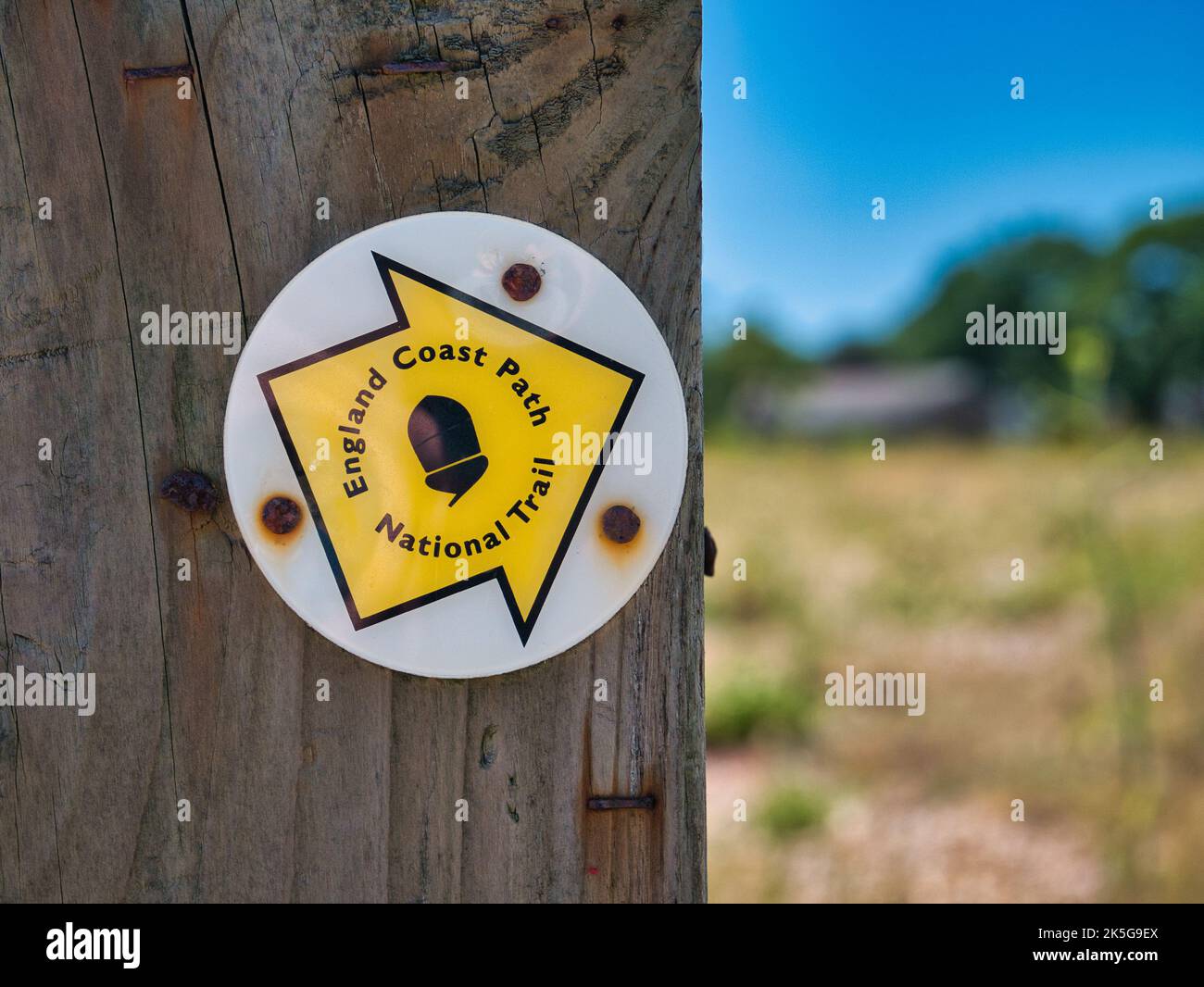 A sign showing a yellow arrow on a white background affixed to a wooden ...