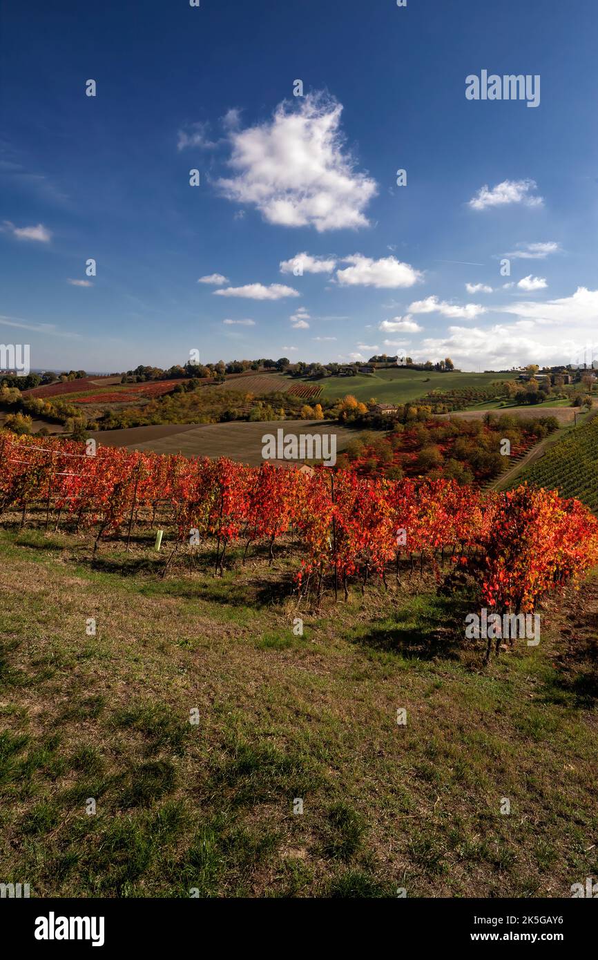 Skyline collinare hi-res stock photography and images - Alamy