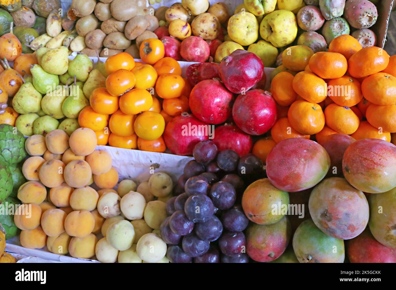 Fruit Stall Inside the Mercado Central de San Pedro, a Famous Local ...
