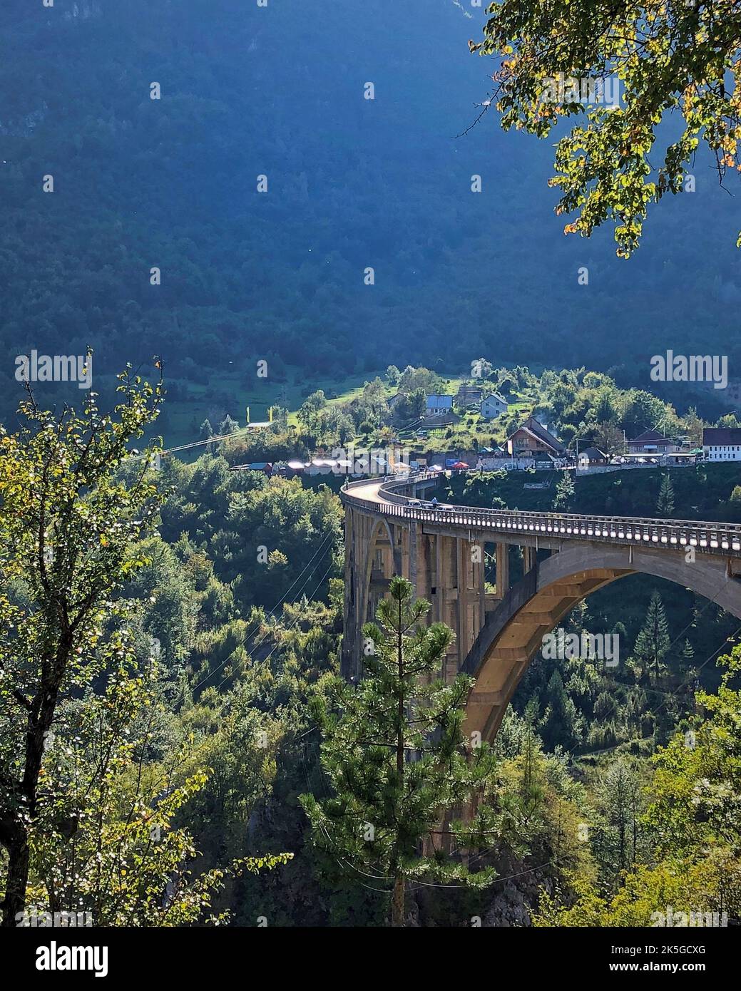A vertical shot of the Durevica Tara Bridge against the green valley in ...