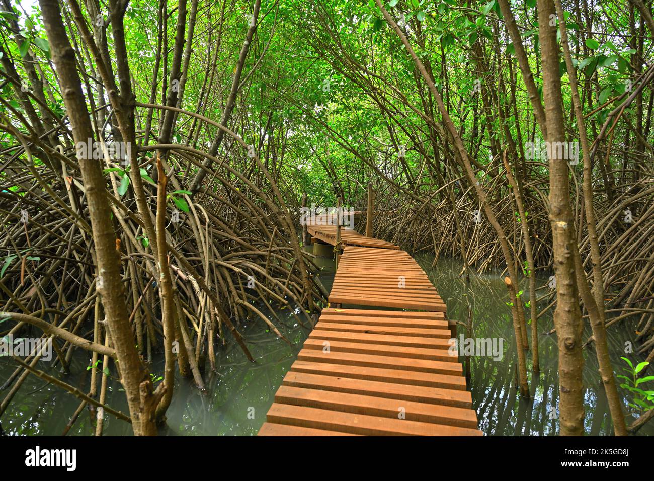 Uttara kannda hi-res stock photography and images - Alamy