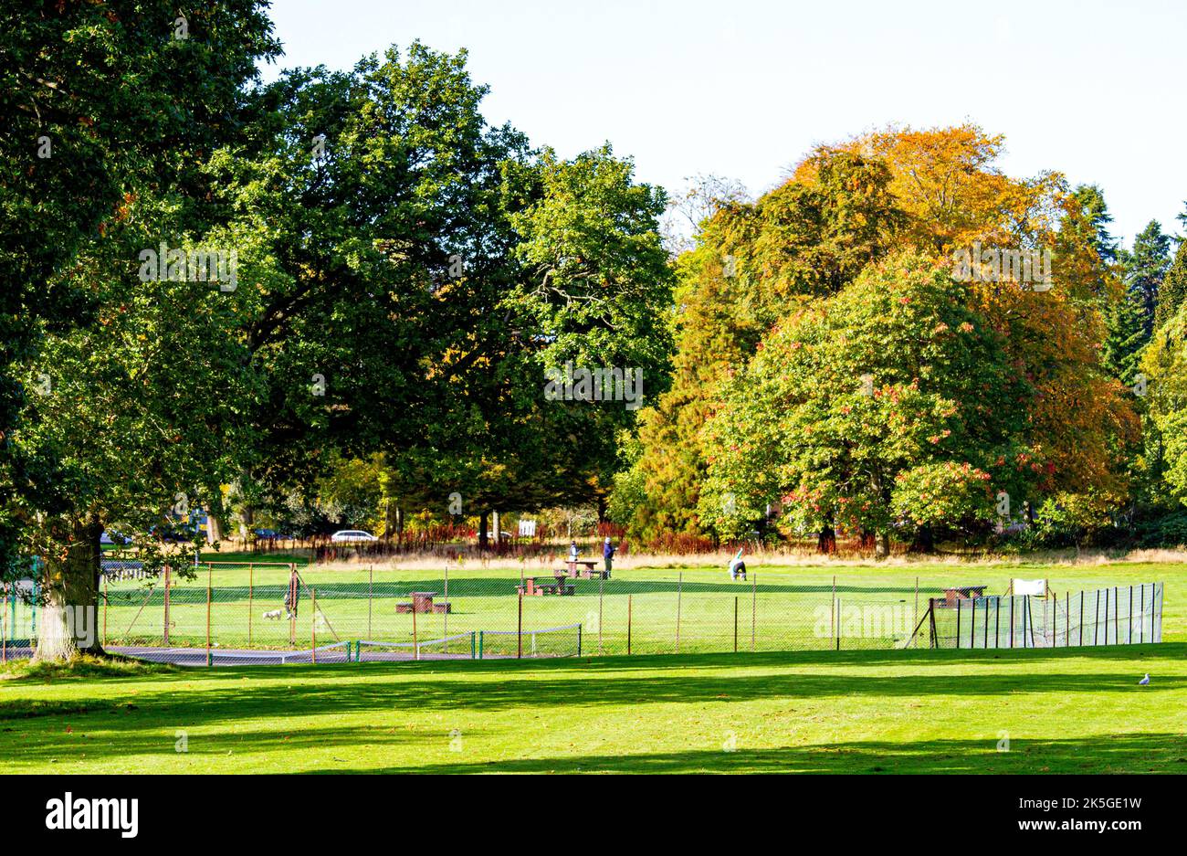 Camperdown park and wildlife centre hi-res stock photography and images ...