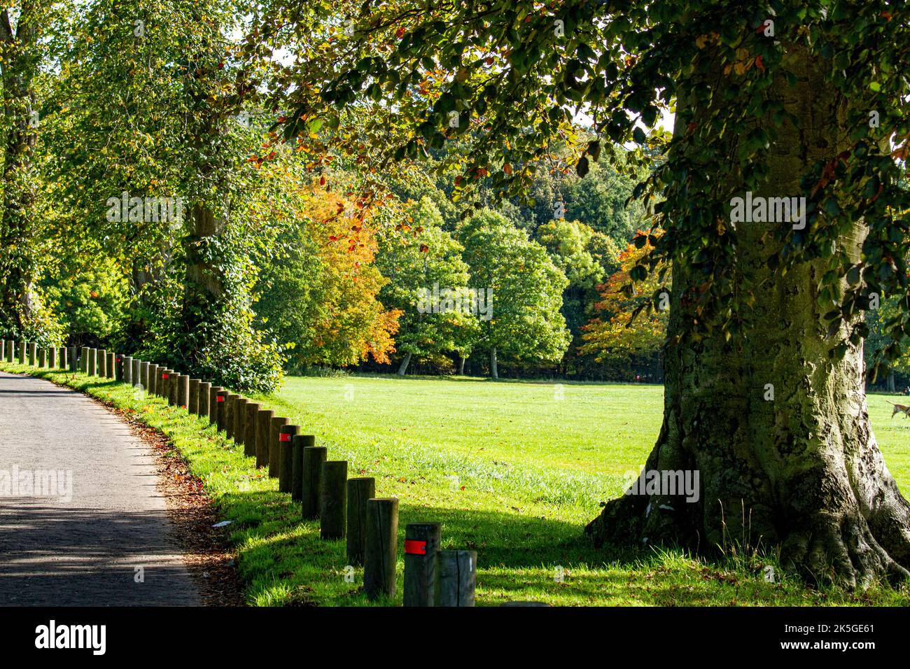 Camperdown park and wildlife centre hi-res stock photography and images ...