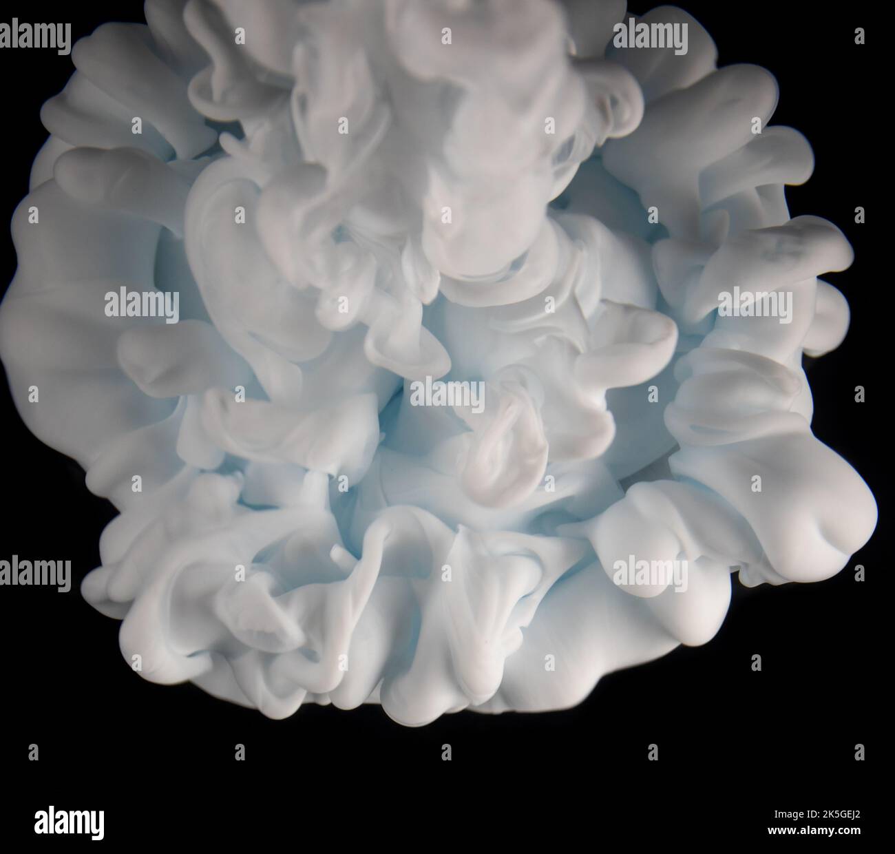 Abstract fluid acrylic painting. Marbled white abstract Ink cloud on ...