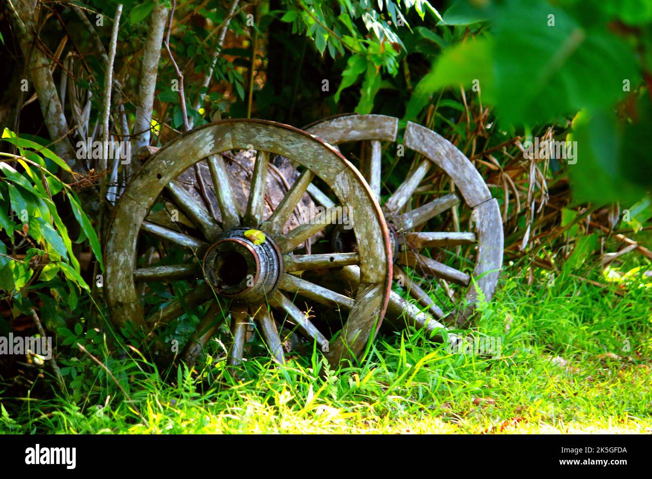 Two wooden cartwheels in a field during the day Stock Photo - Alamy