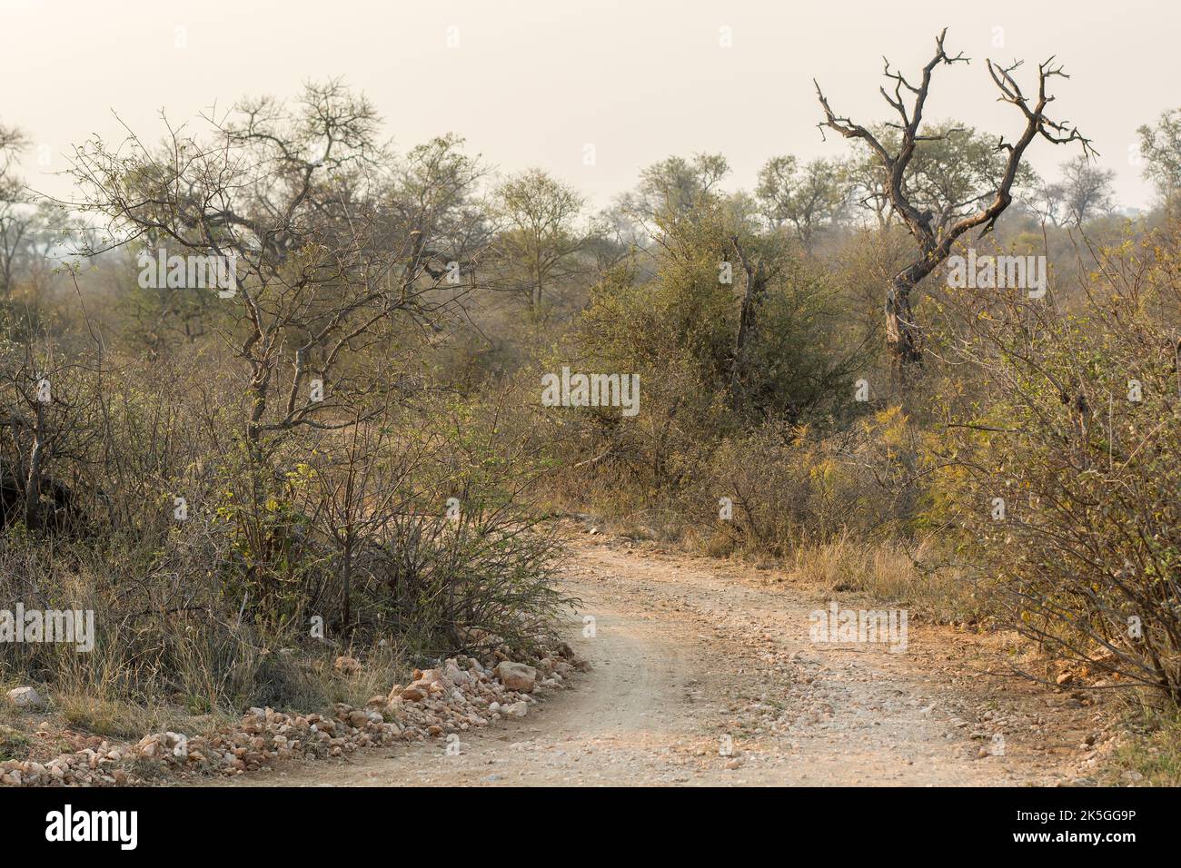 Untarred road hi-res stock photography and images - Alamy
