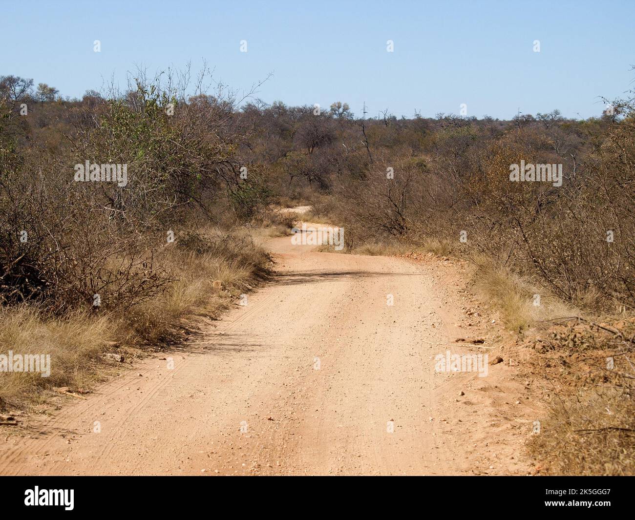 Bush Track - a dirt road winding through the African bush surrounded by ...