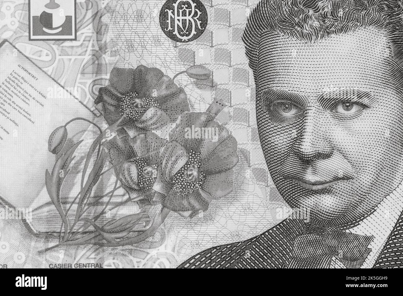 LEI Romanian money. RON Leu money european currency and inflation Stock ...