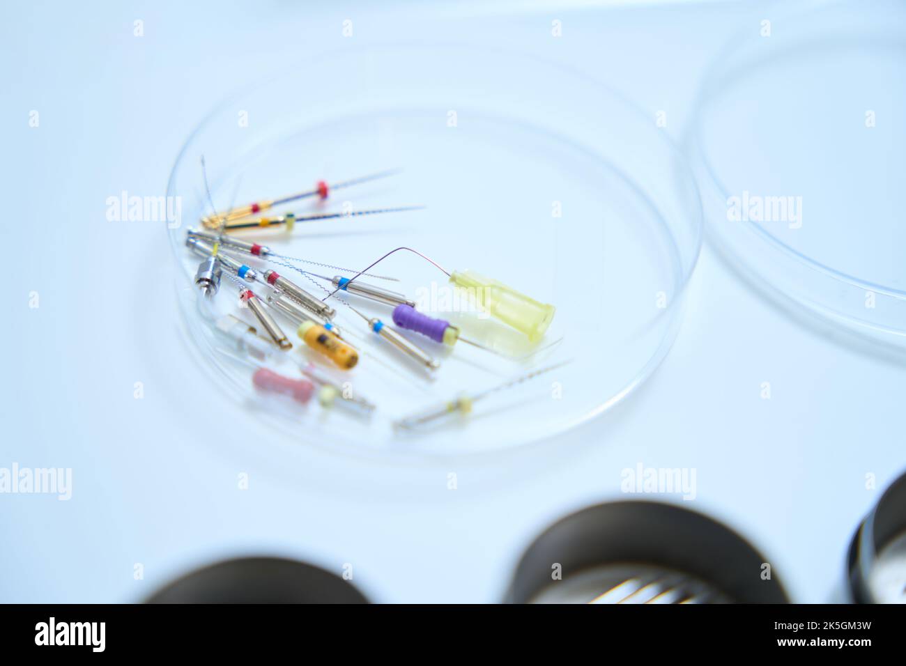 Set of dental endo-chucks in transparent round container Stock Photo ...