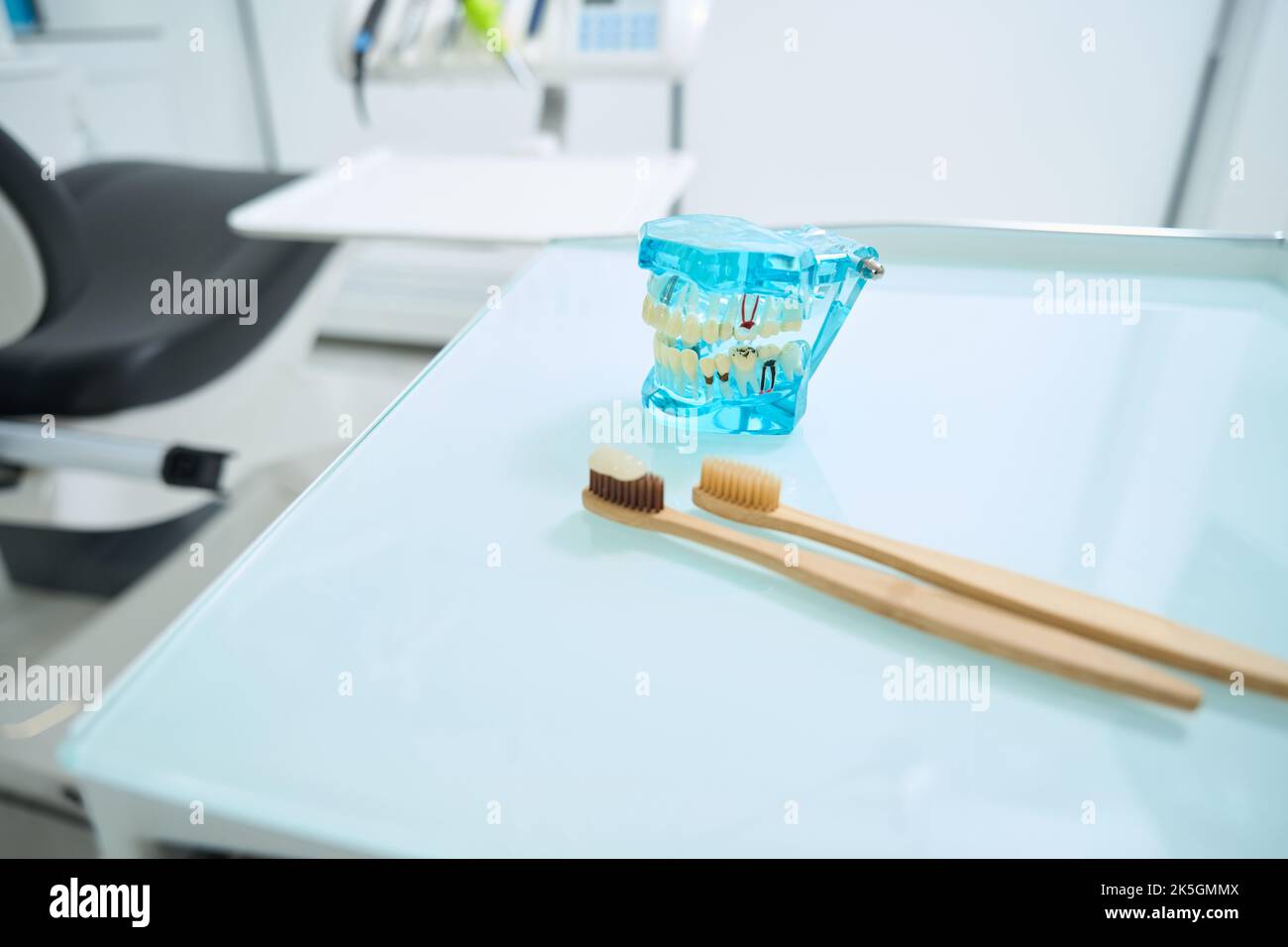 Transparent teeth jaw model and toothbrushes in dental office Stock ...