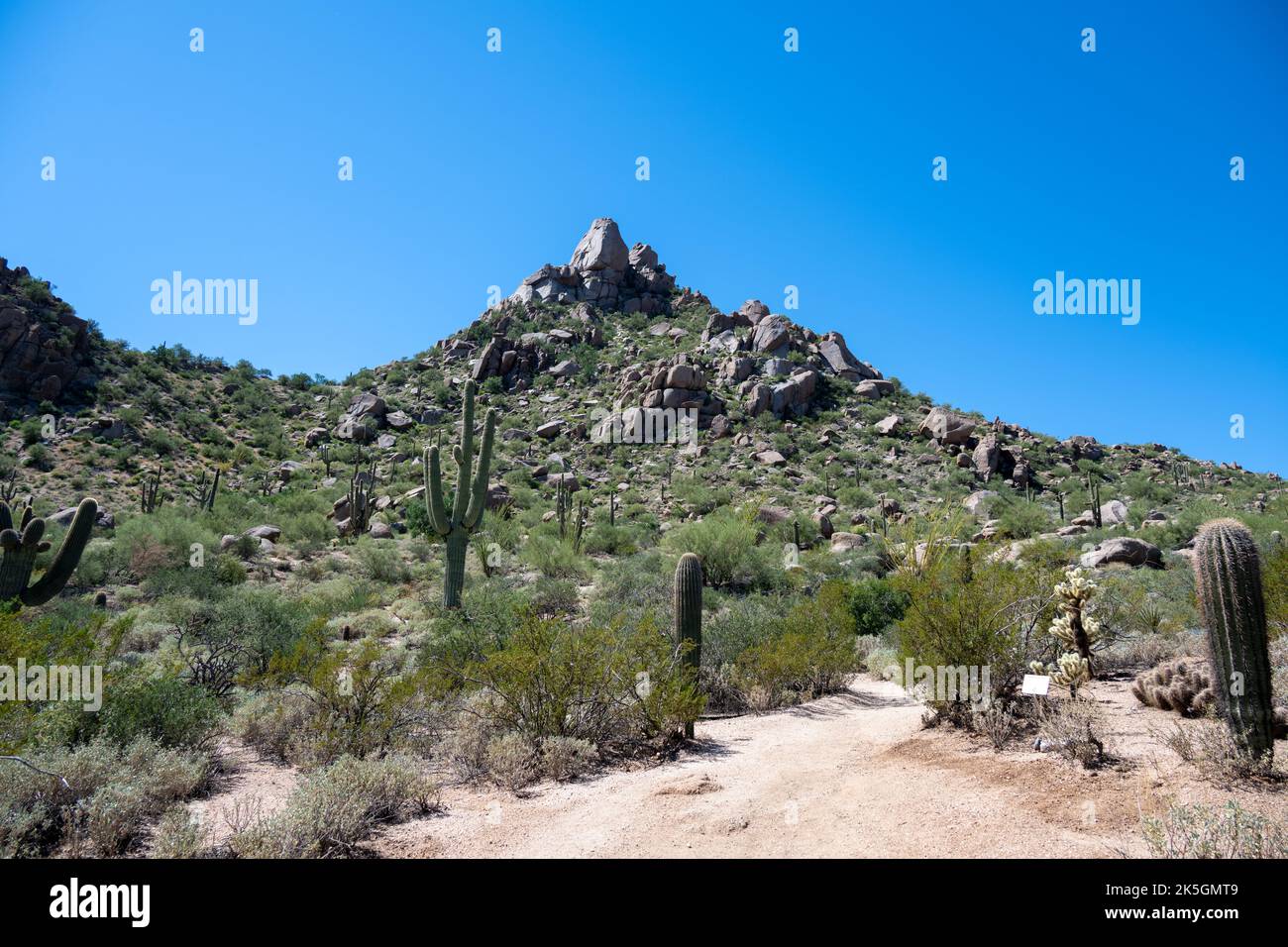 A panoramic view from the Pinnacle Peak Park trail Stock Photo - Alamy