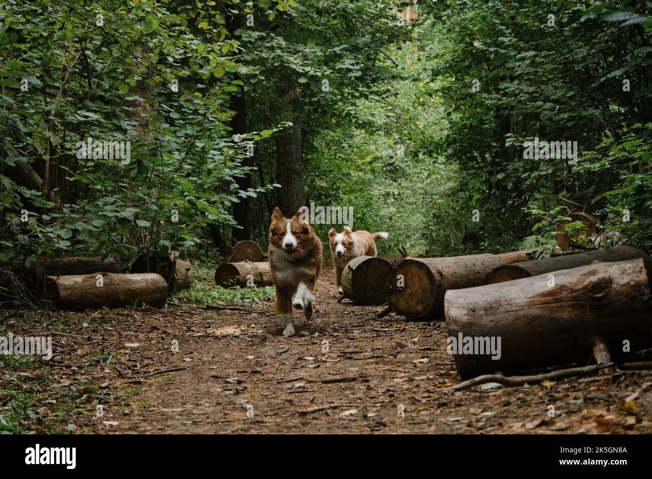 Fron park hi-res stock photography and images - Alamy